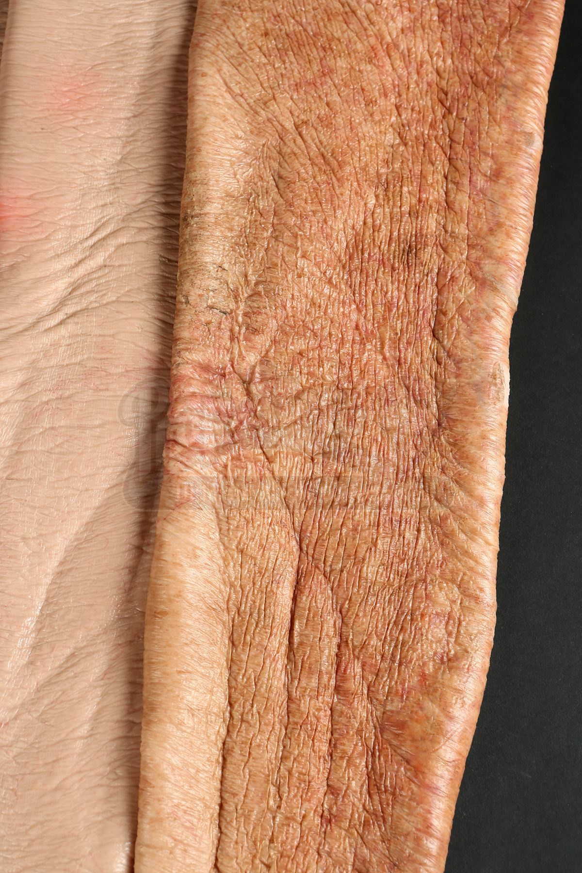 MEN IN BLACK 3 (2012) - Boris (Jermaine Clement) Arm Sleeve and Test ...