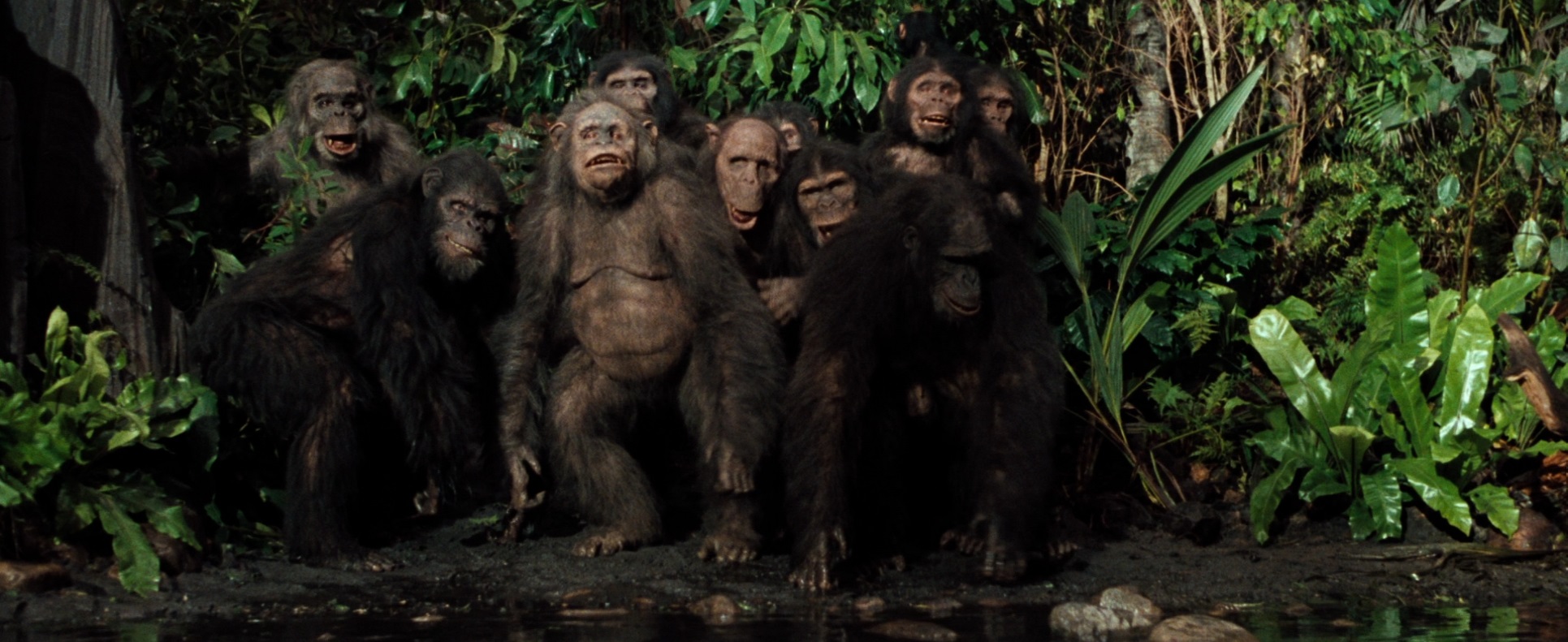 GREYSTOKE: THE LEGEND OF TARZAN, LORD OF THE APES (1984) - Three Child ...