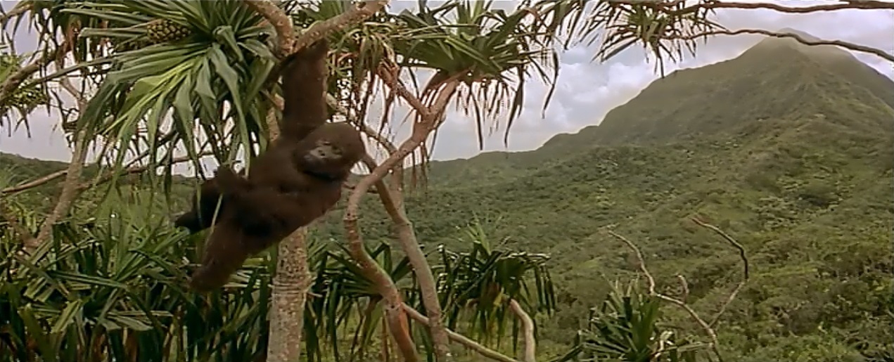 MIGHTY JOE YOUNG (1998) - Baby Joe Face - Current price: $800