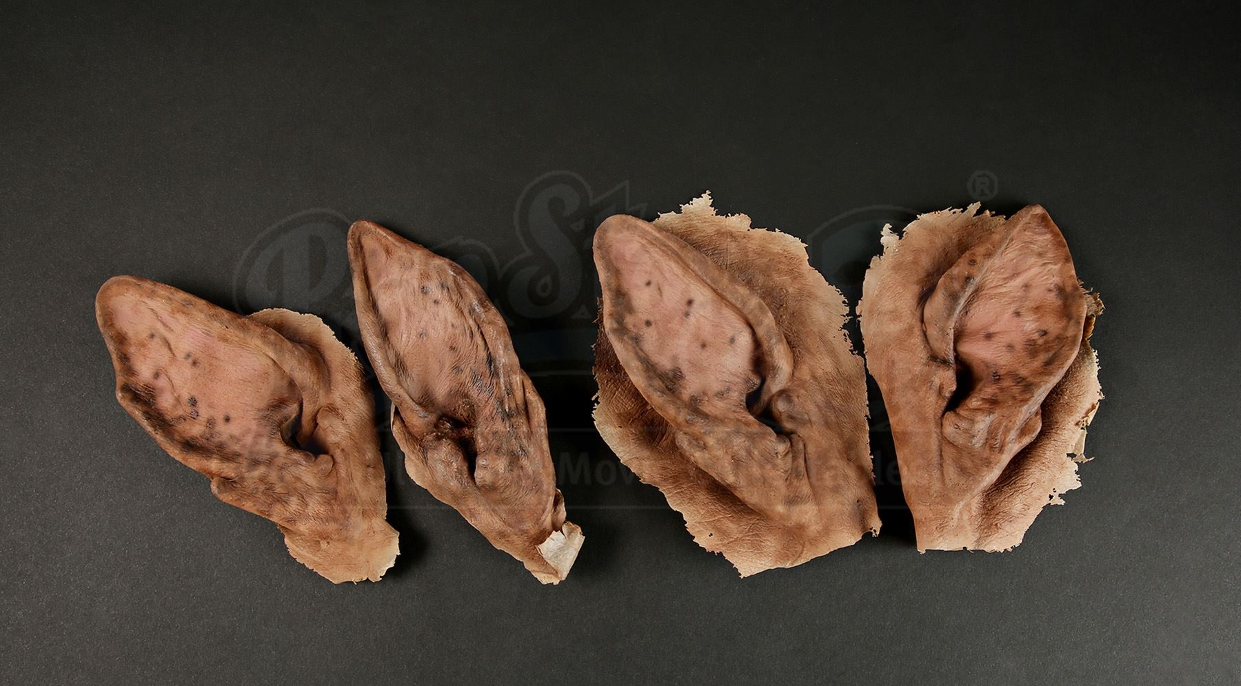 THE WOLFMAN (2010) - Collection of Sir John Talbot (Anothony Hopkins ...