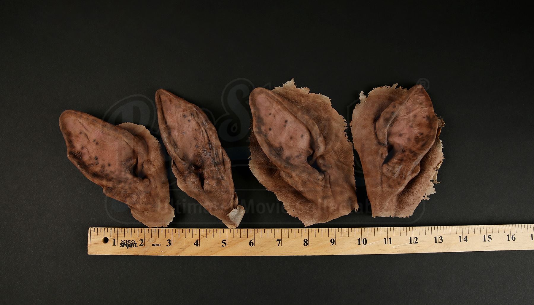 THE WOLFMAN (2010) - Collection of Sir John Talbot (Anothony Hopkins ...