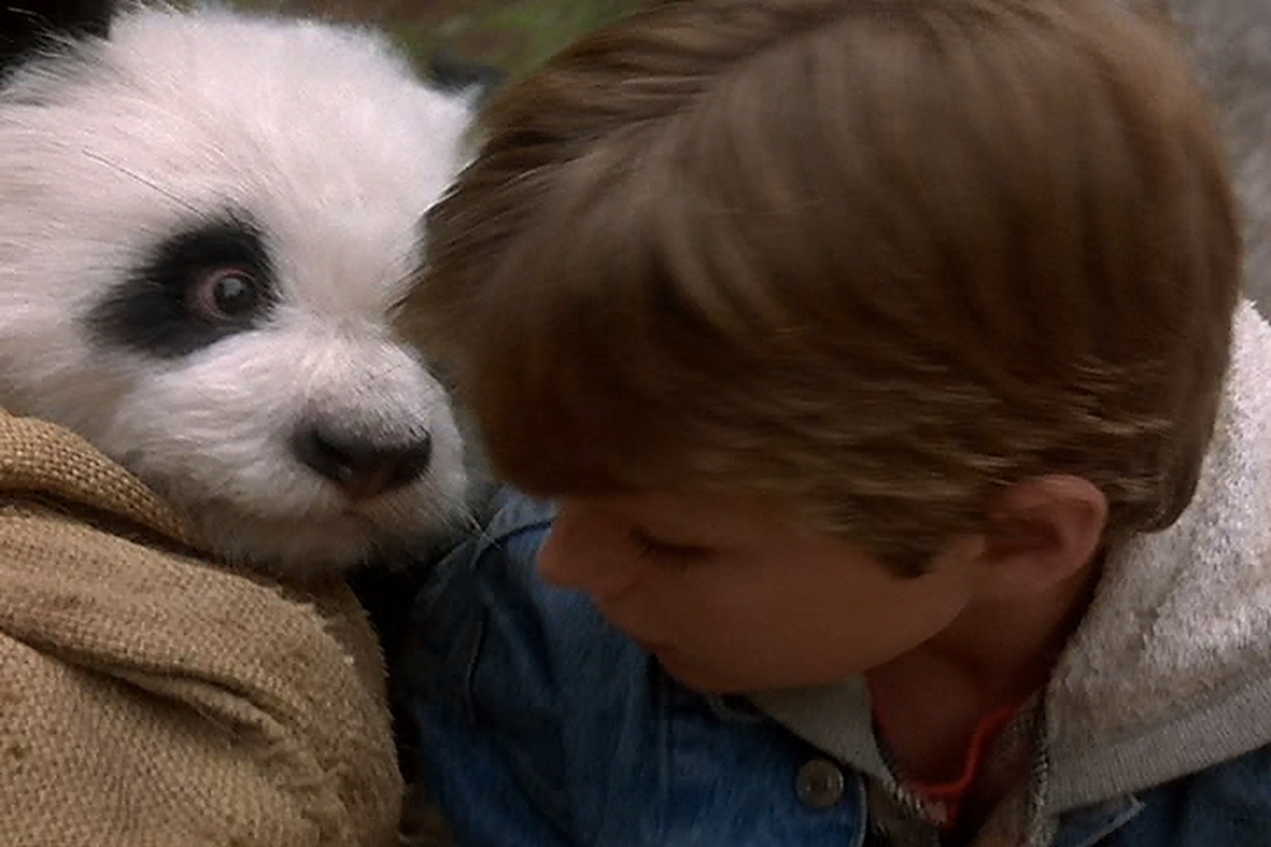 THE AMAZING PANDA ADVENTURE (1995) - Panda Suit and Pair of Panda Heads