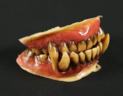 THE WOLFMAN (2010) - Wolfman Masks, Teeth, and Ears