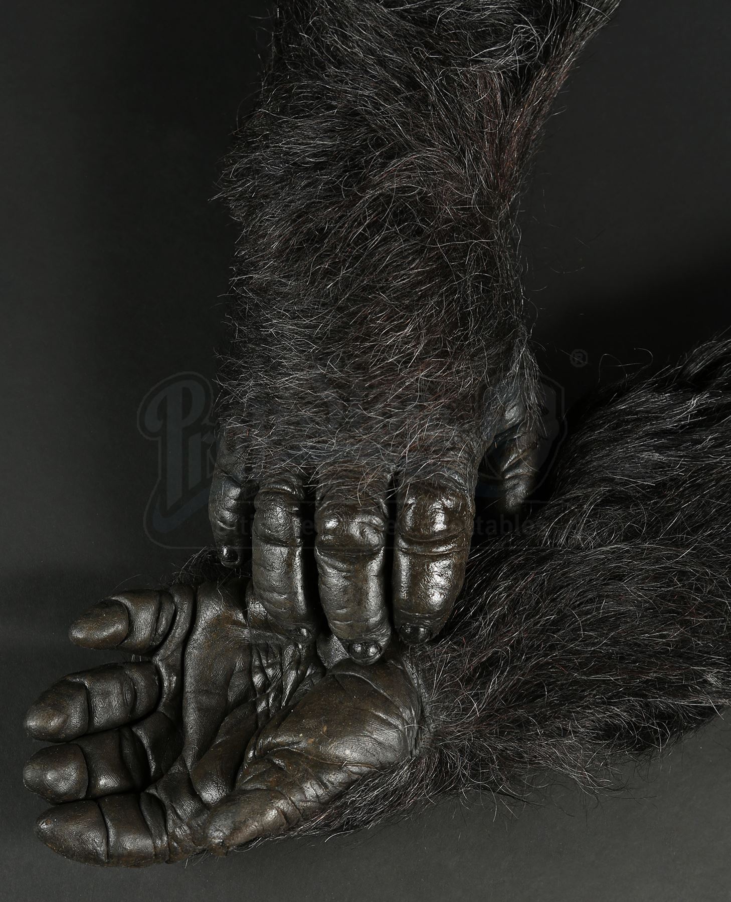 PLANET OF THE APES (2001) - Finished Ape Arms