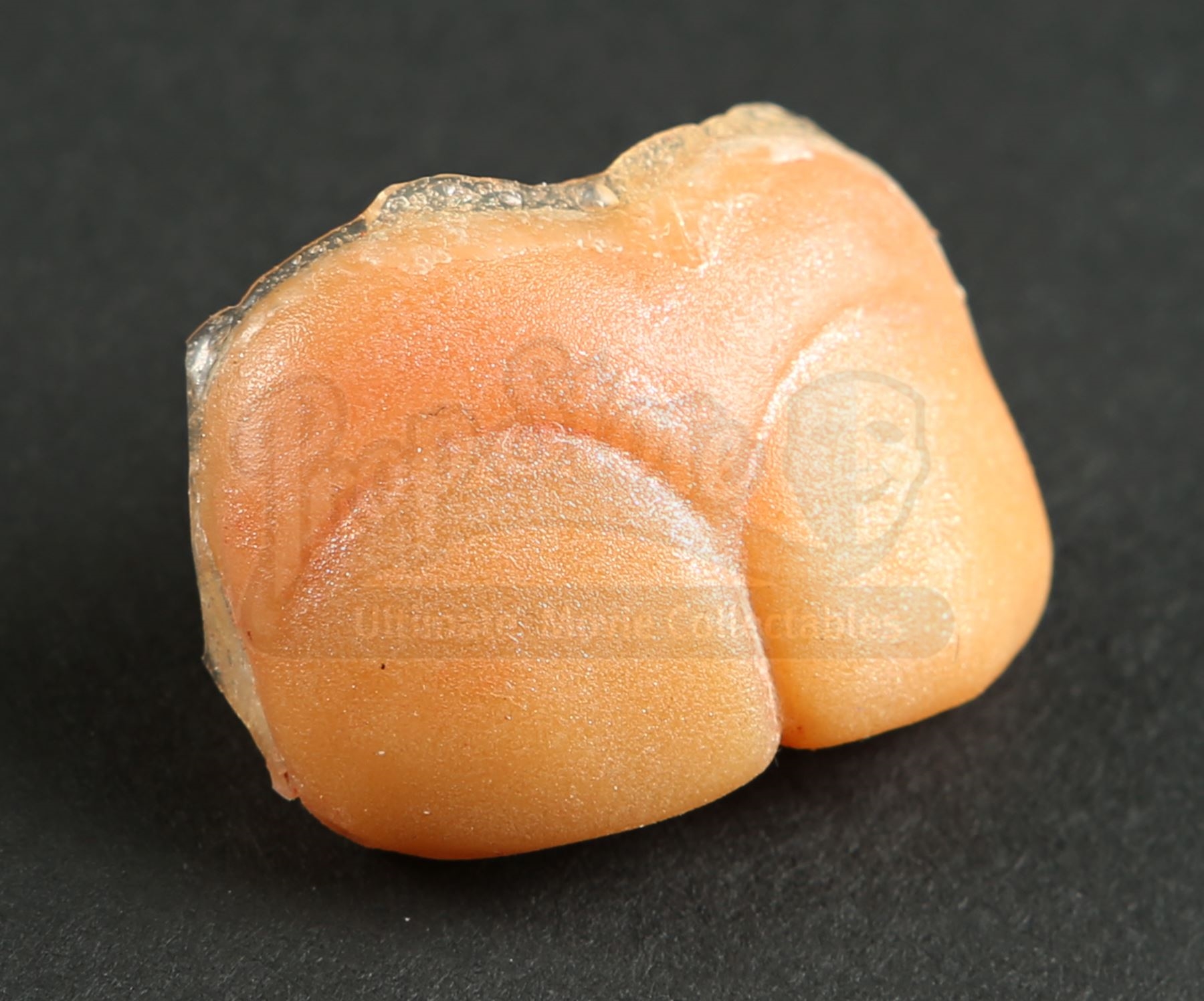 HOW THE GRINCH STOLE CHRISTMAS (2000) - Who Teeth