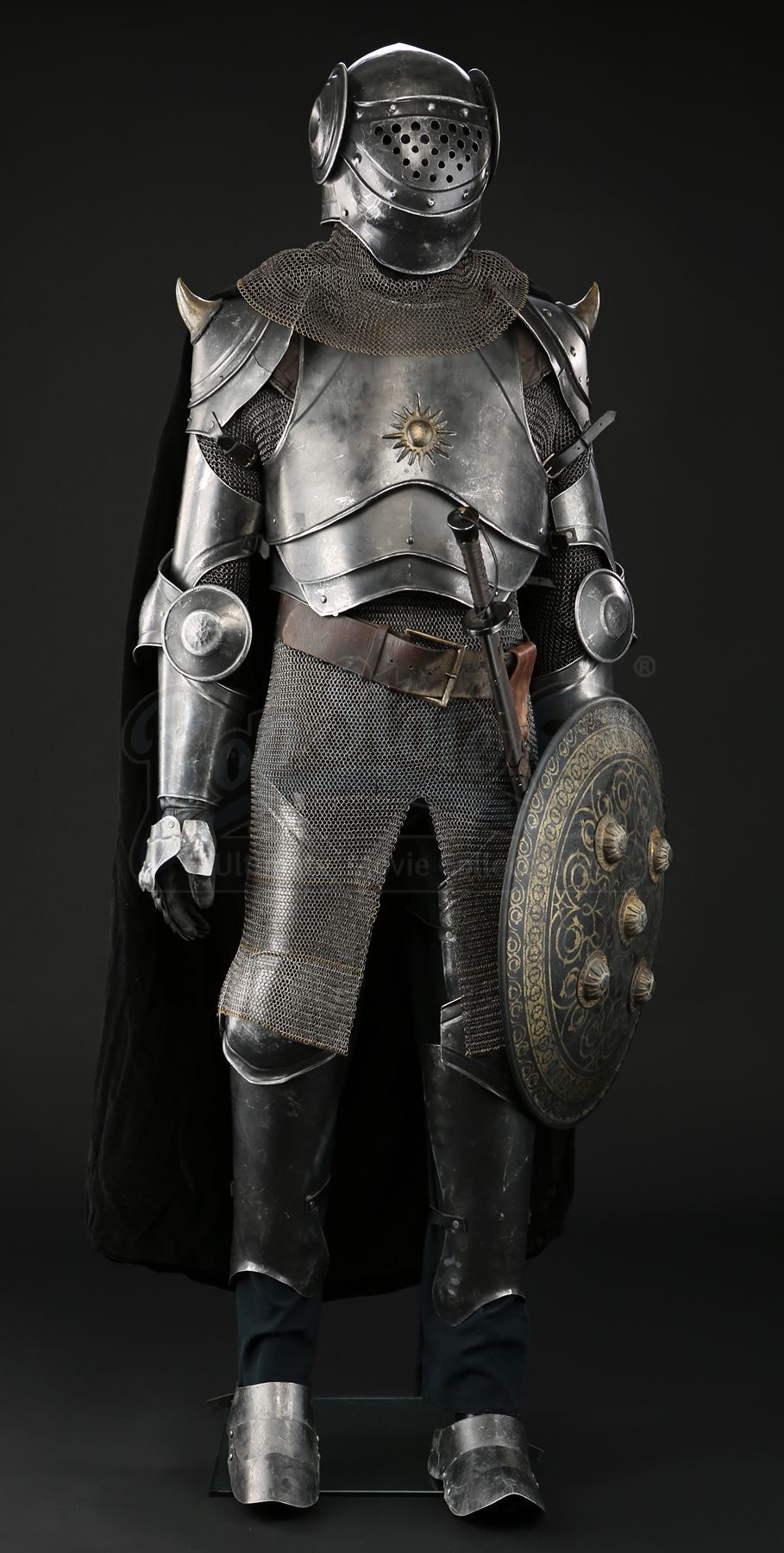 Mounted Knight Costume, Sword, and Shield