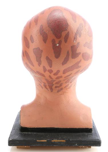 ALIEN NATION (1989 - 1990) - George Francisco's (Eric Pierpoint ...