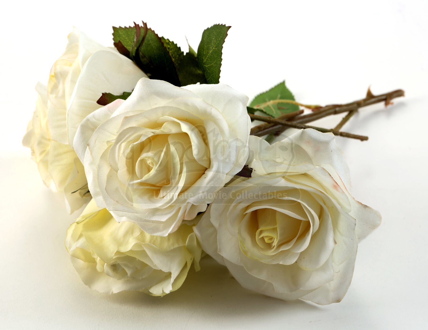 Nightmare Wedding Roses