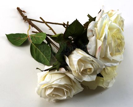 Nightmare Wedding Roses