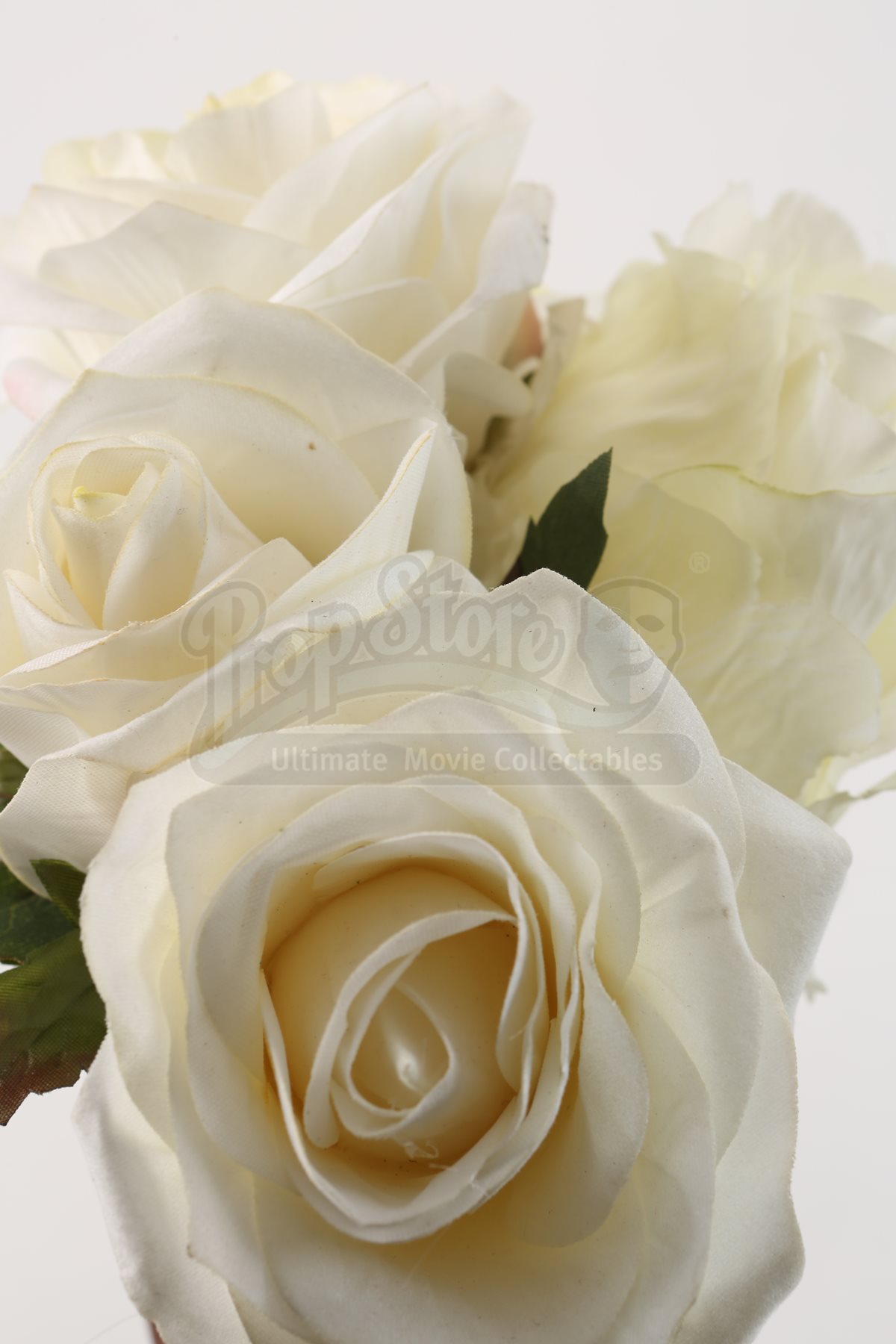 Nightmare Wedding Roses