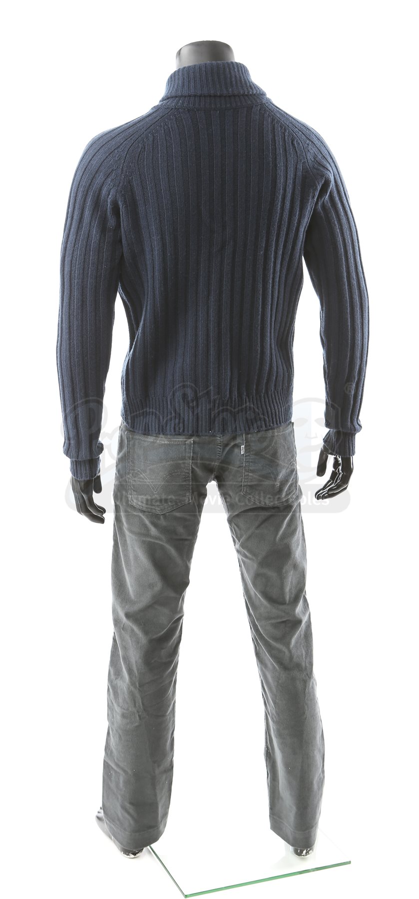Edward Cullen's Research Costume