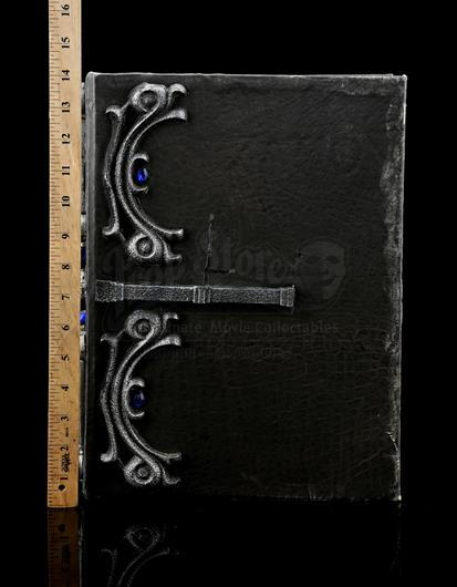 Medivh's (Ben Foster) Book - Current price: $5000