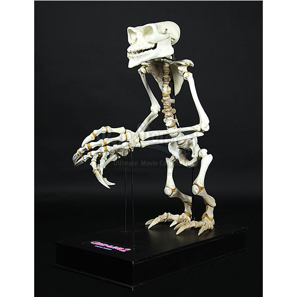 Gremlins Skeleton | Propstore – Ultimate Movie Collectables