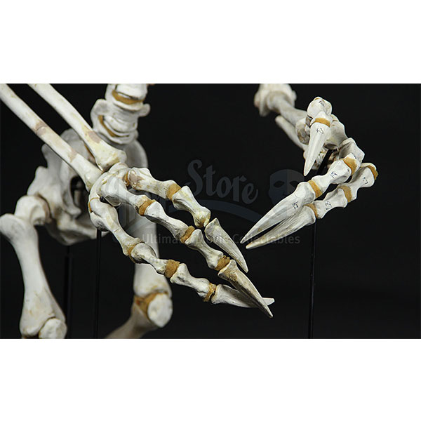 Gremlins Skeleton | Propstore – Ultimate Movie Collectables