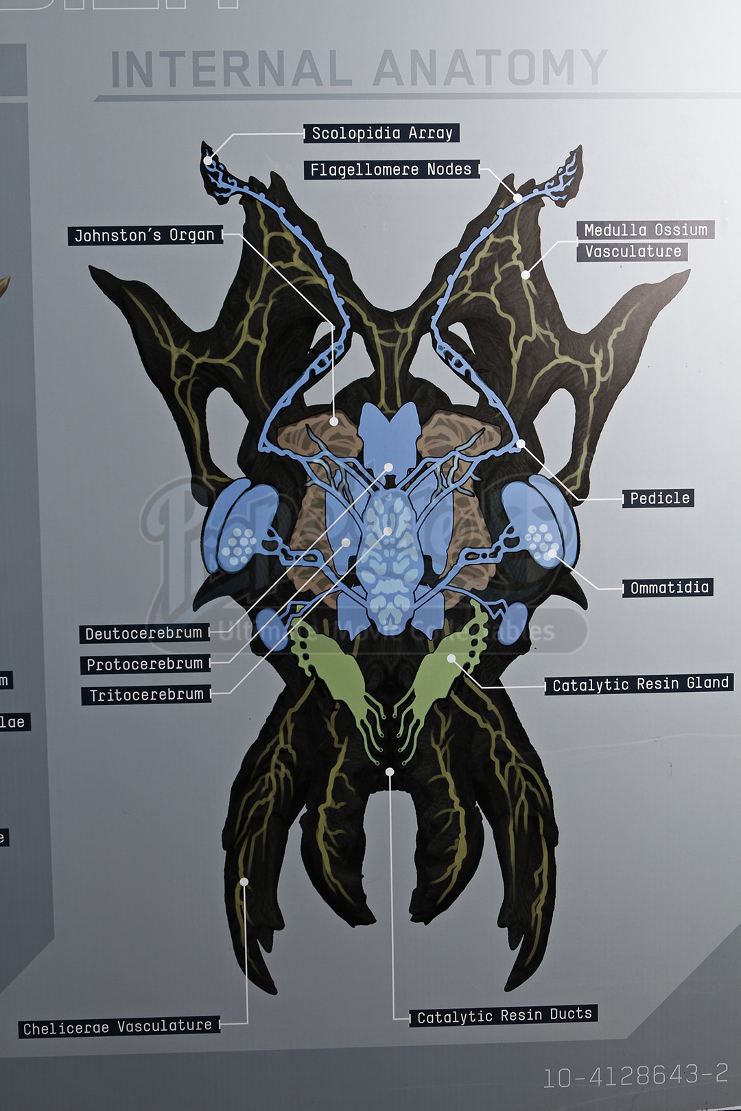 ENDER'S GAME - Formic Solider Head Diagram - Current price: $55