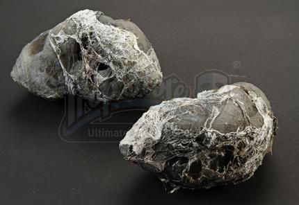 Dead Formic Eggs Lot 05