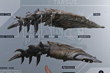 ENDER'S GAME - Formic Soldier Tarsus Diagram - Current price: $55