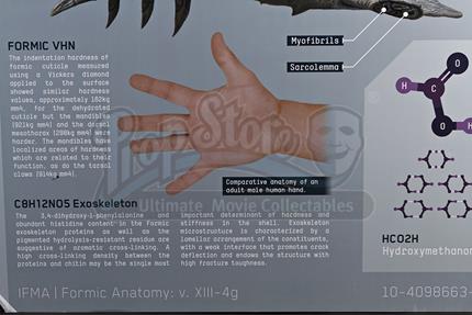 ENDER'S GAME - Formic Soldier Tarsus Diagram - Current price: $55