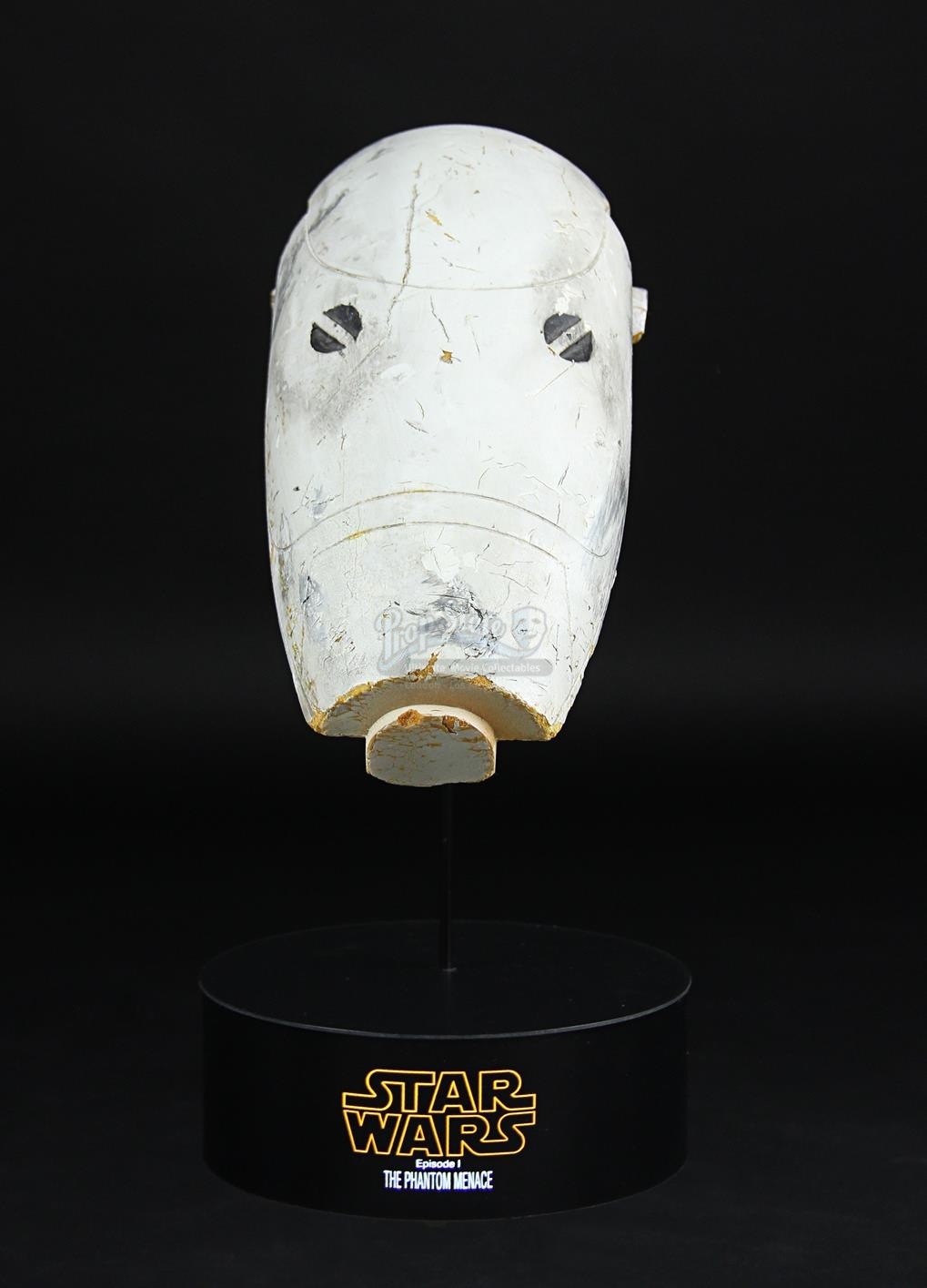 In good condition, the head is supplied with a custom-made display ...