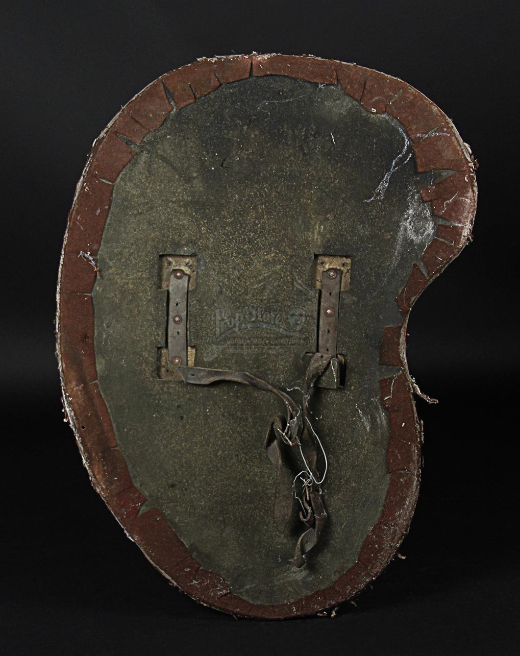 The shield is made from wood with a leather strap on the back and is in ...