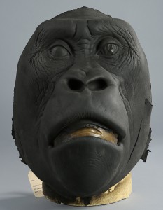 Baker’s Animal Creations | Prop Store – Ultimate Movie Collectables